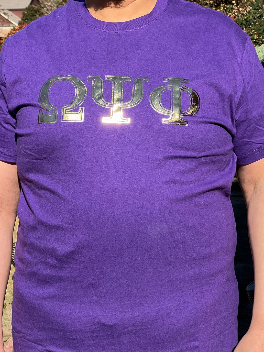 Omega Psi Phi Metallic OMEGA T-Shirt – D9 Greeks